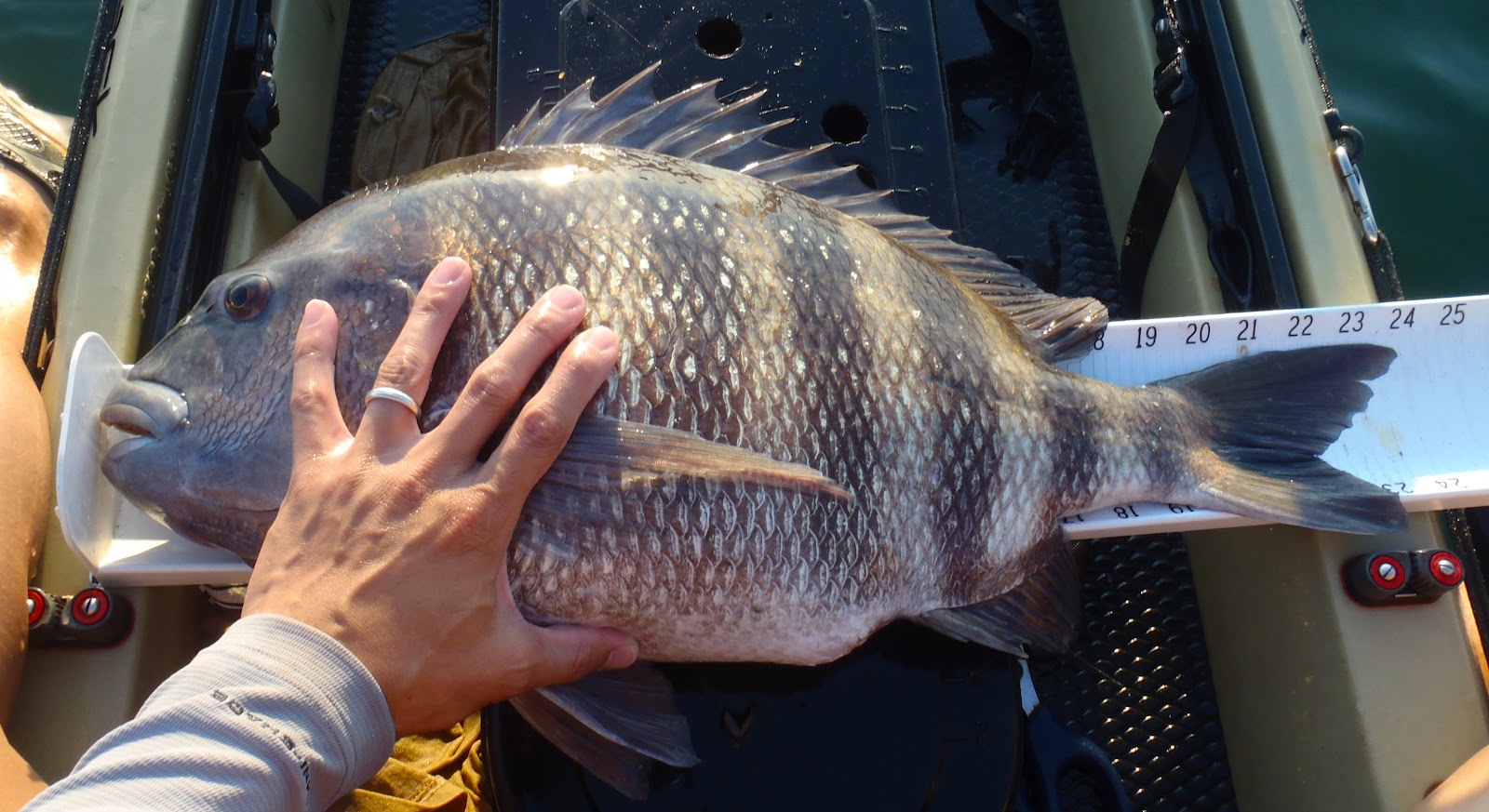 Angling Addict: July 2012