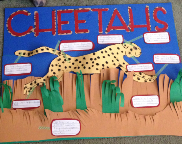 Arts & Crafts, English and Science Blog: Science Project about animals