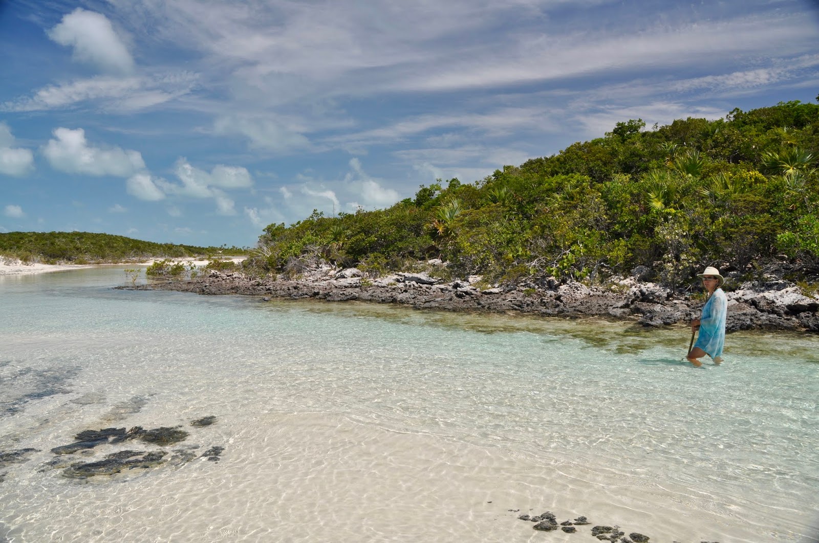 Compass Cay: Exumas Enigma