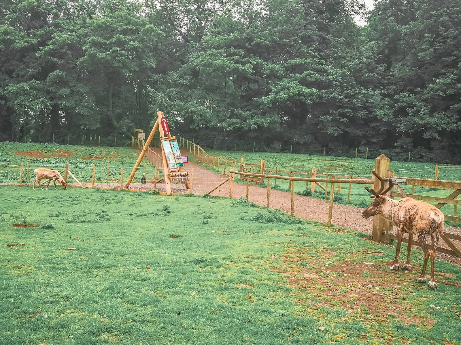 TATTON PARK - THE FARM - Hi5 the world