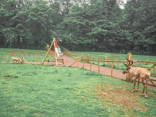 TATTON PARK - THE FARM - Hi5 the world