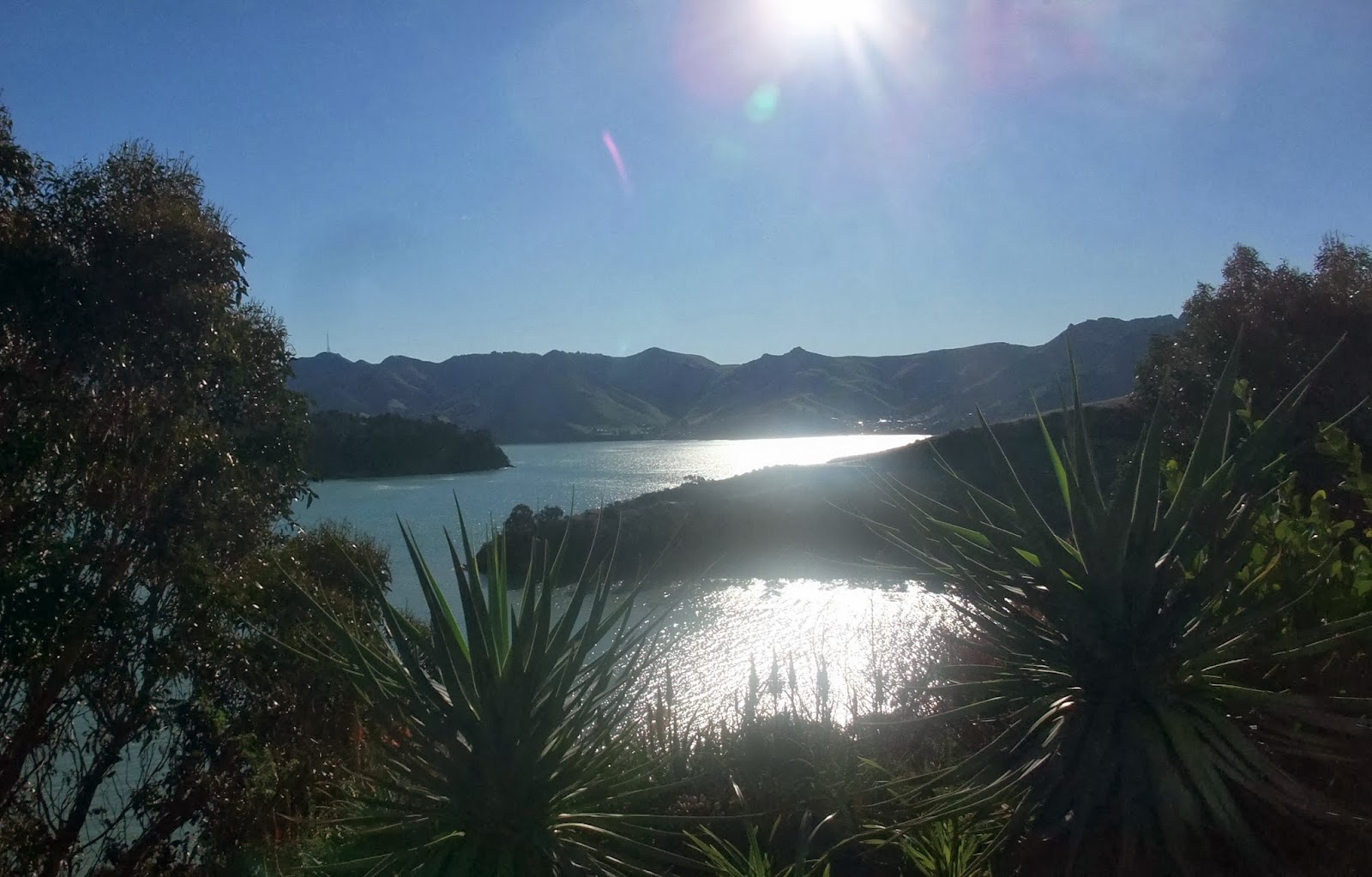 Voyage diary: TOP 10 of beautiful Aotearoa!