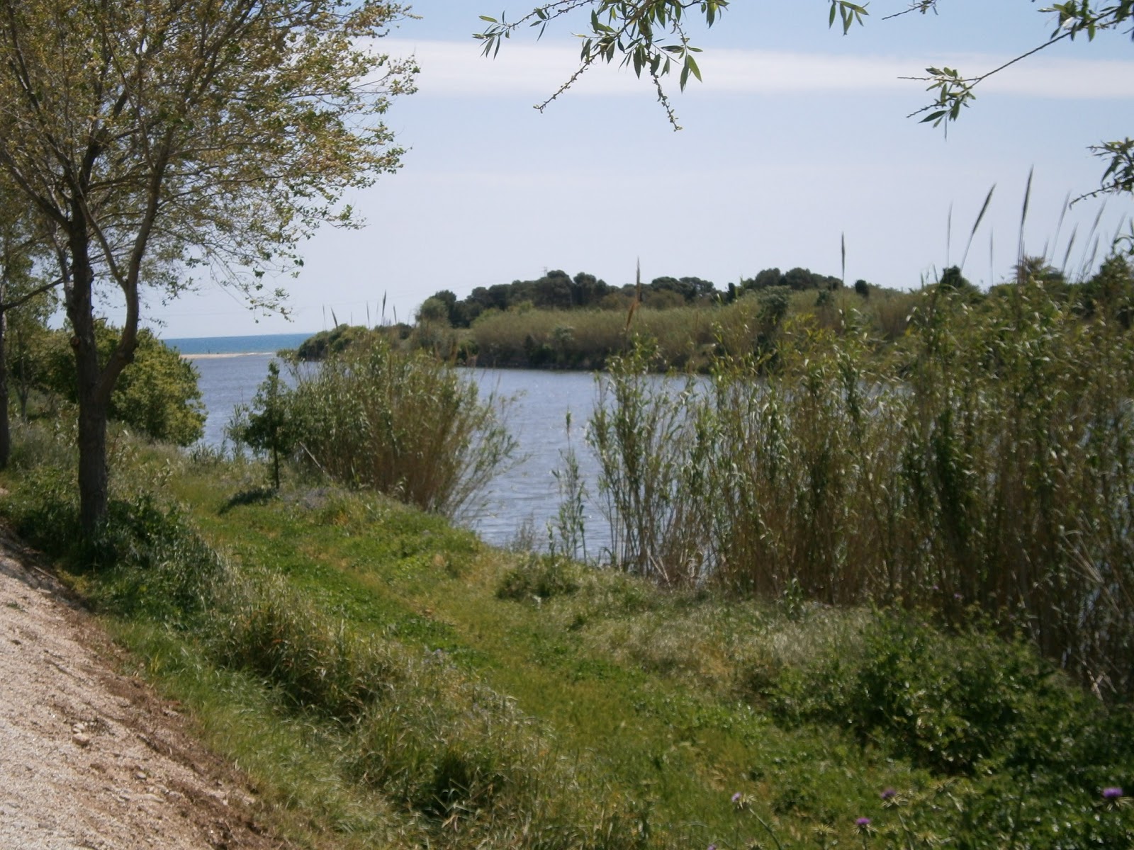 BeyondThePale: Walking: Along The Muga River