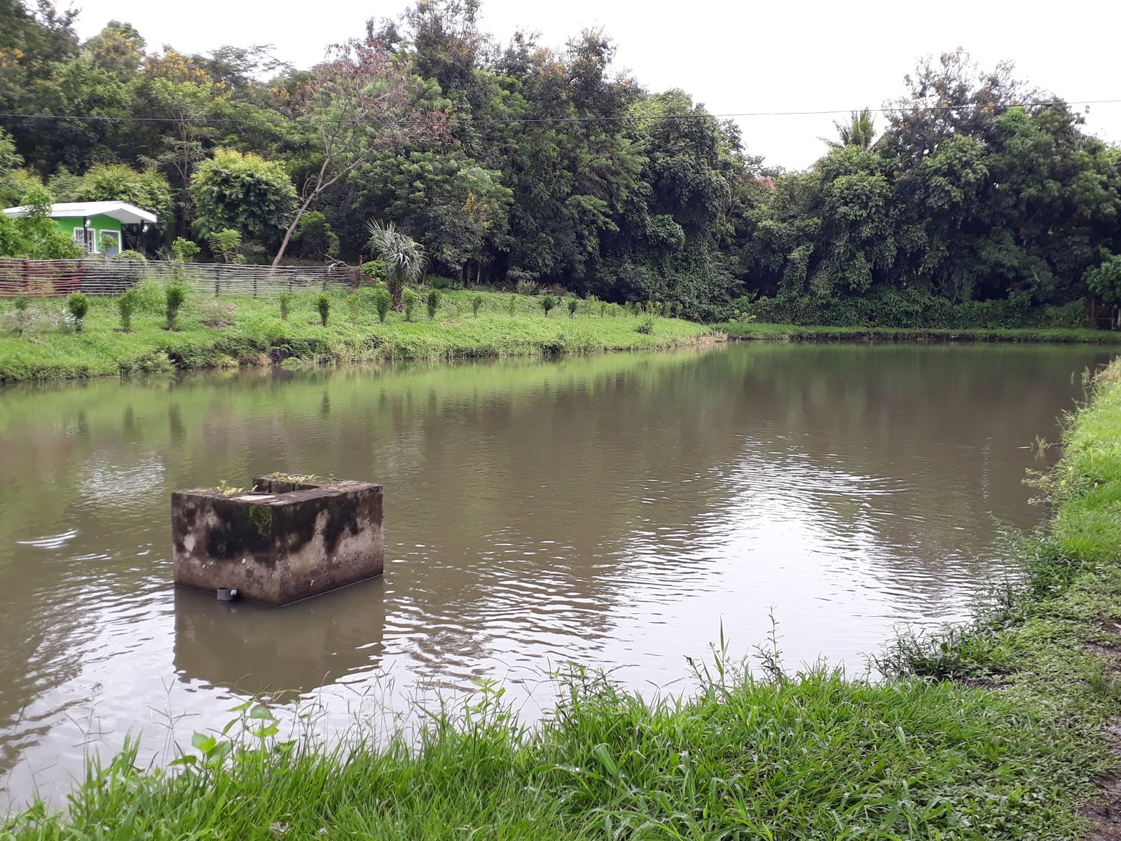 Centro Ecoturístico El Jícaro.: Historia de el Turicentro El Jícaro.