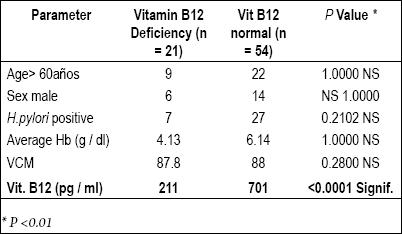Vitamin B12 Test Report | Fitmiss Health Club
