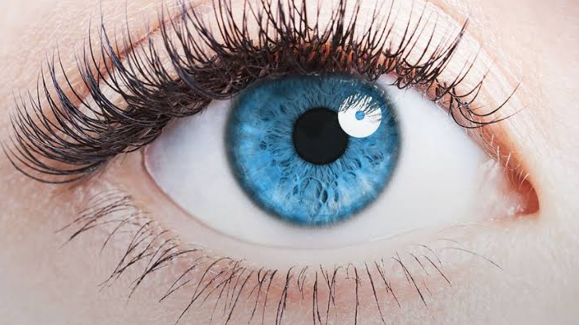 Interesting Facts About Eyes