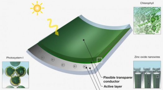 Solar panels with paint grass roofs | Solar Panel Green Energy