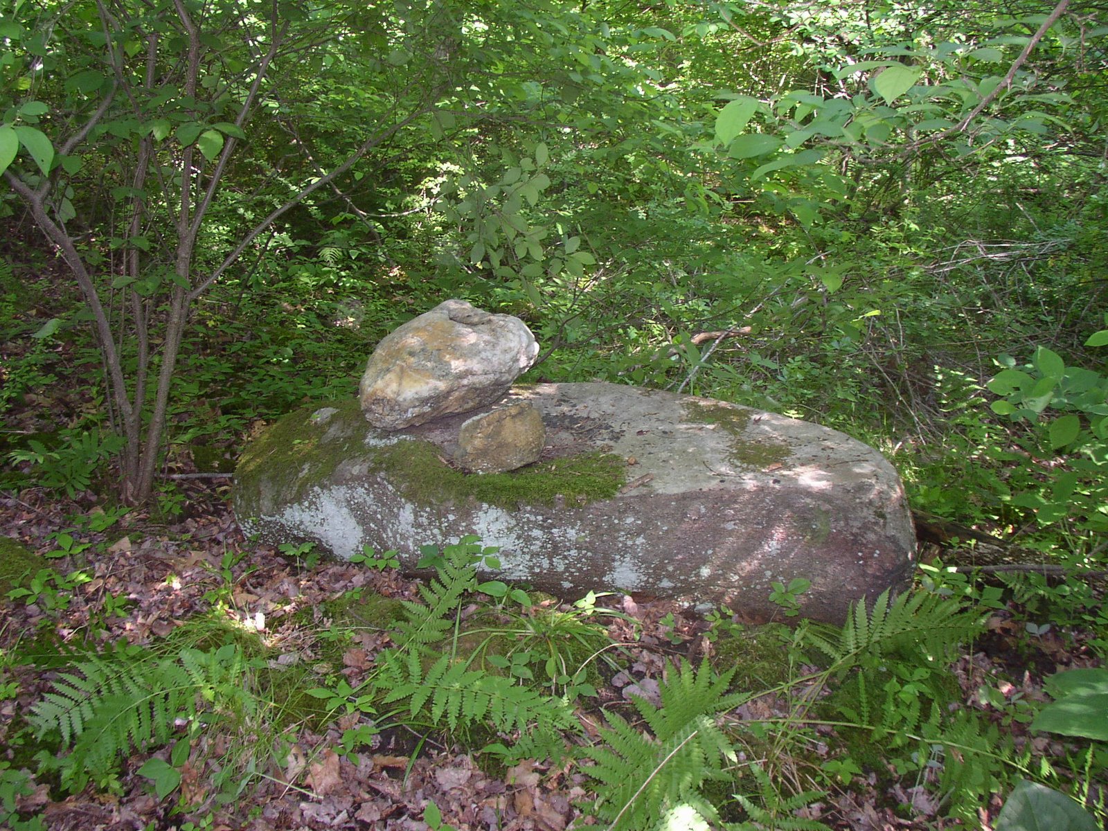 Waking Up on Turtle Island: Small Manitou Stone at Zigzag