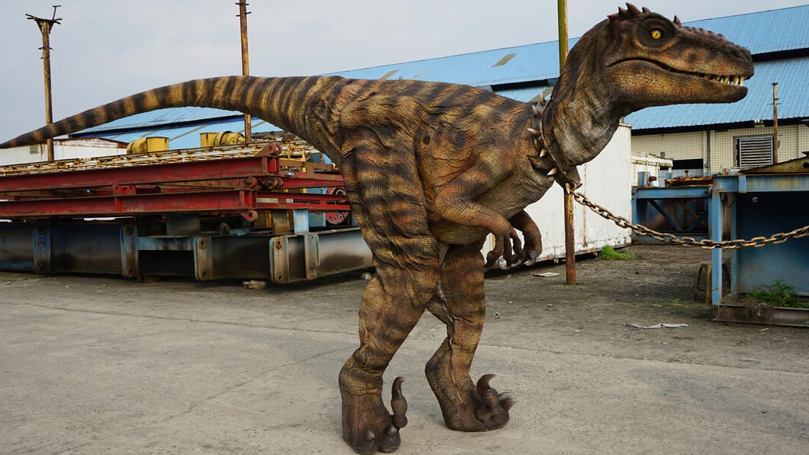 Jestr Events - Tonight's Entertainment: J Rex The Eventosaurus