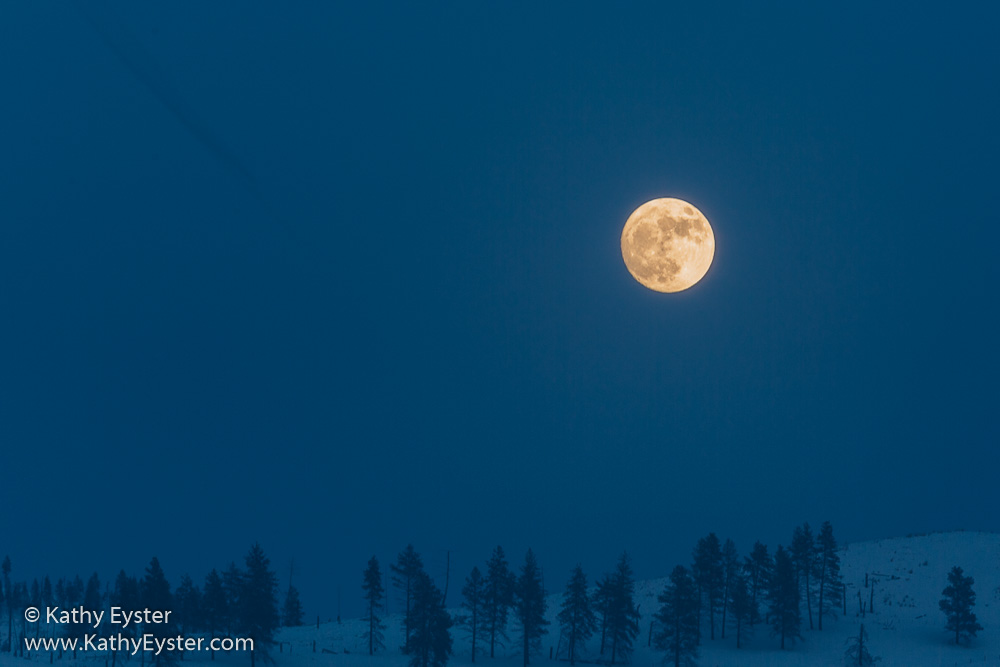 New Year's First Full Moon