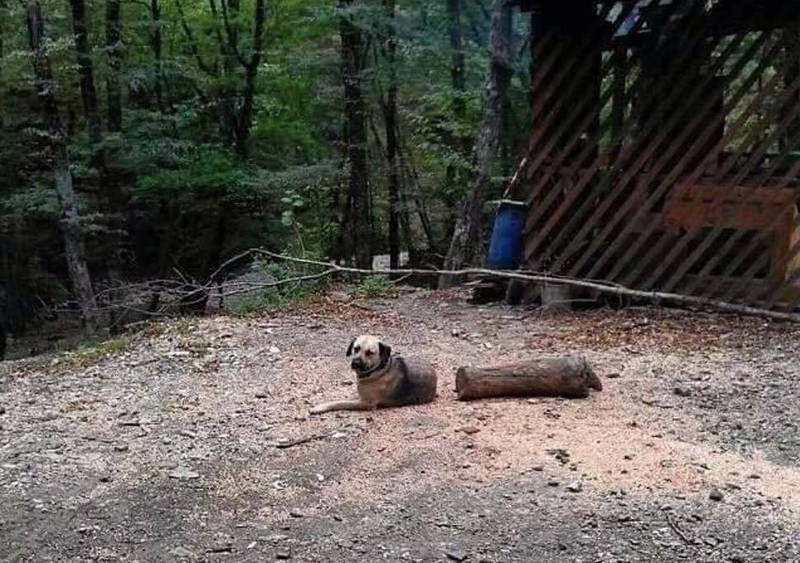 22 ABSURD IMAGES THAT WILL MAKE YOU GO WAIT, WHAT - LOLSPOT