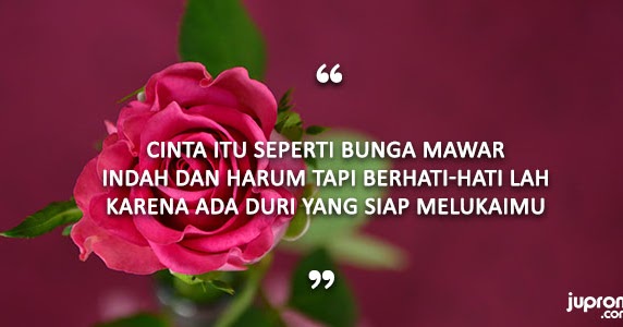 Wow 27+ Gambar Bunga Cinta Romantis - Gambar Bunga Indah