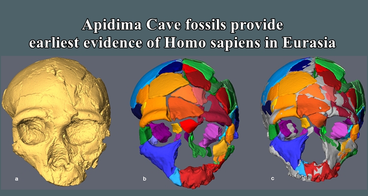 Αριστομένης ο Μεσσήνιος: Apidima Cave fossils provide earliest evidence ...