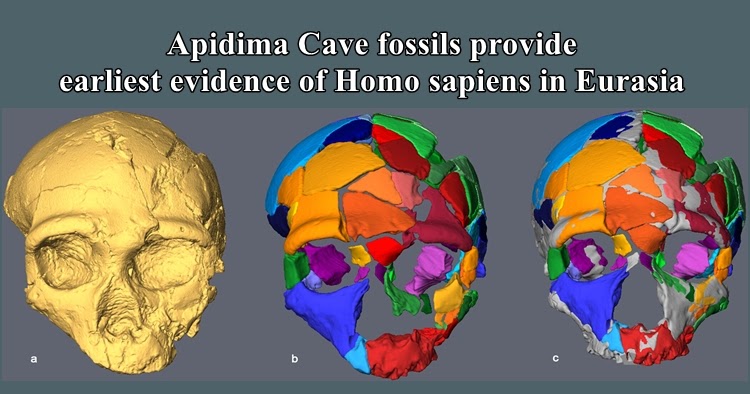 Αριστομένης ο Μεσσήνιος: Apidima Cave fossils provide earliest evidence ...