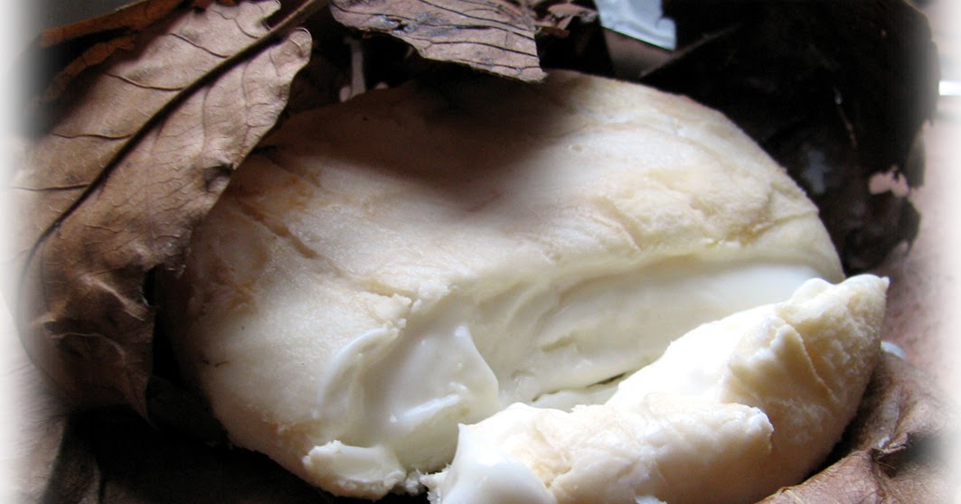 Quesos del Mundo : QUESO BANON