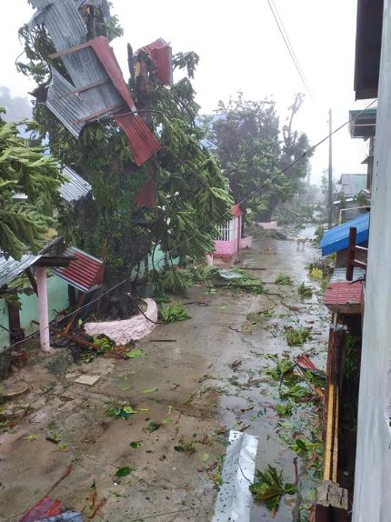 Trees filled with roof materials as 'Ambo' makes landfall in Eastern Samar