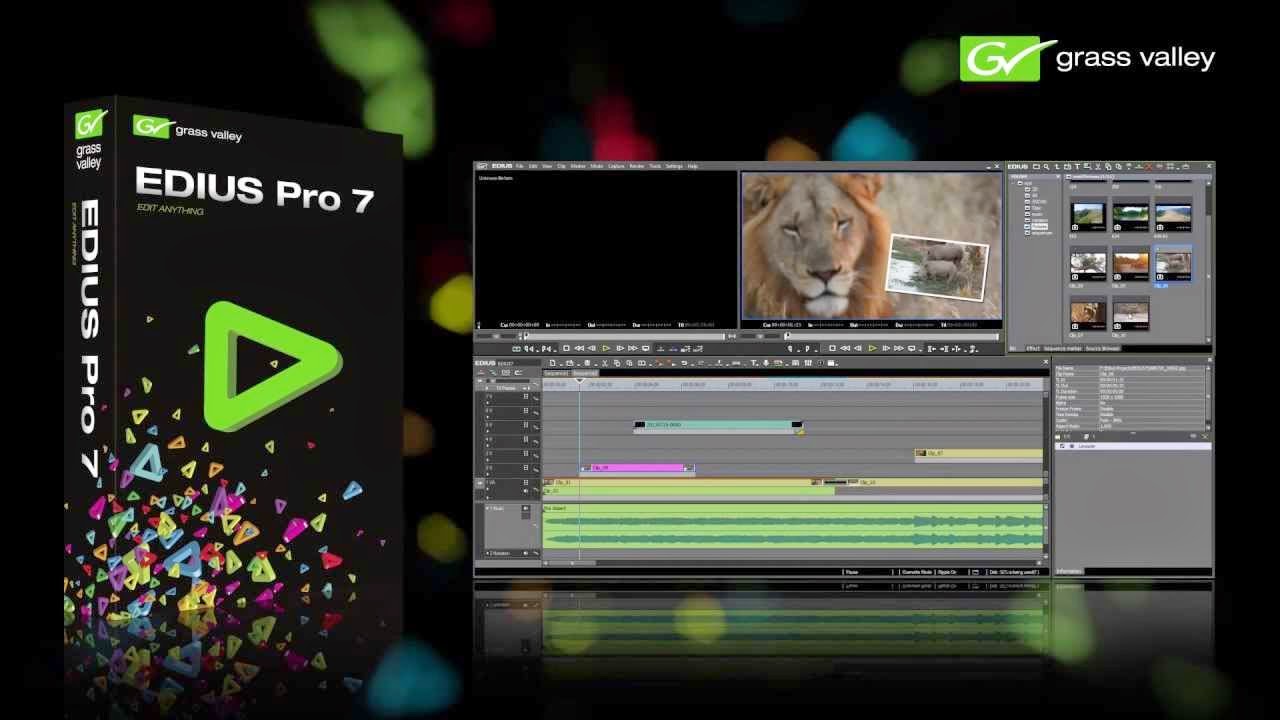 Edius Pro 7.50 Serial Number. Answers Flexible Joking Empresa Annual ...