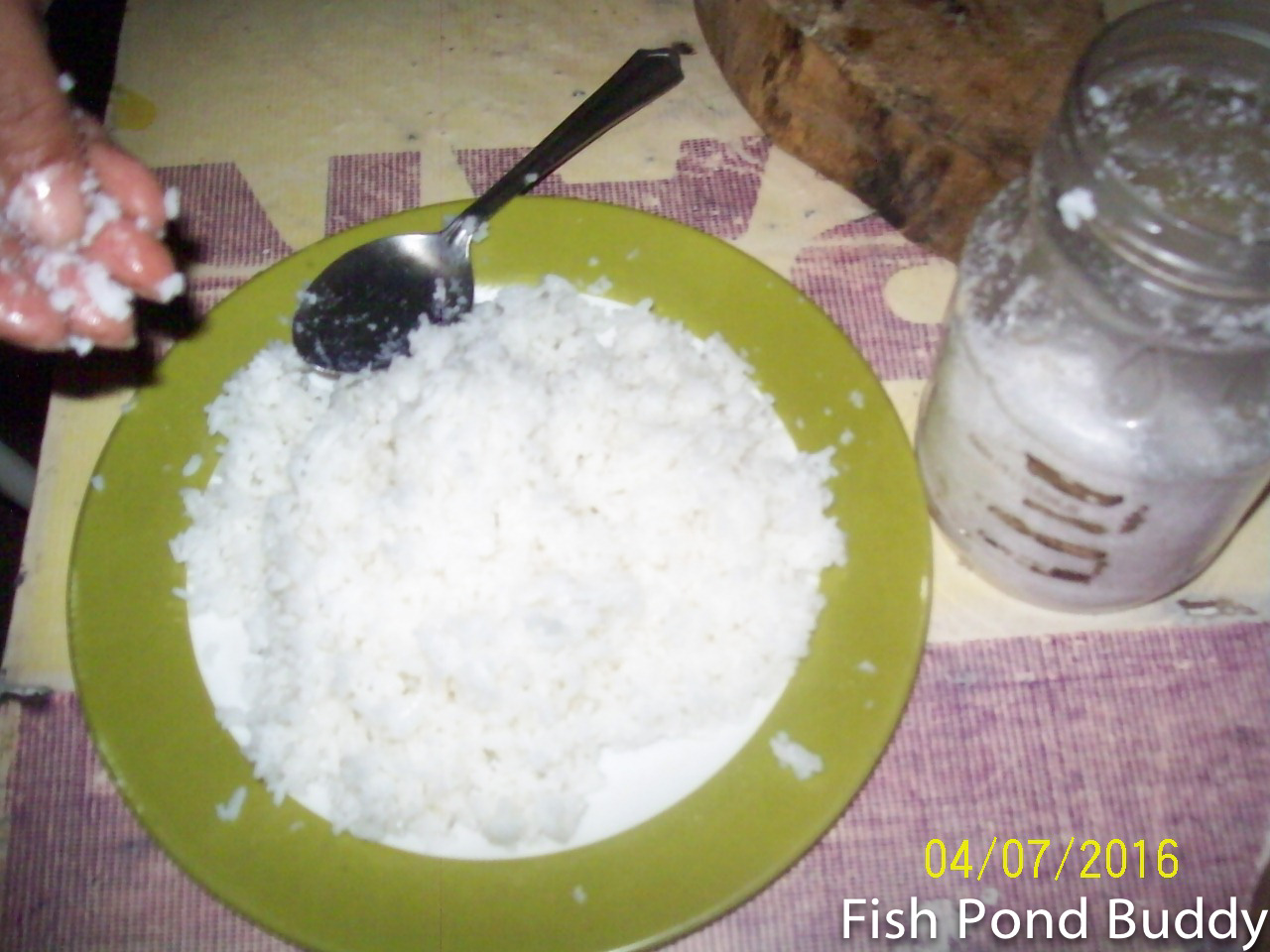 Fish Pond Buddy: How to Make Fermented Rice-Fish Mix ("Buro") at the ...