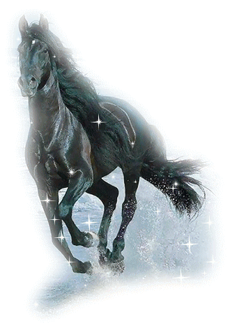 Harry mon ami: Gifs animés de chevaux