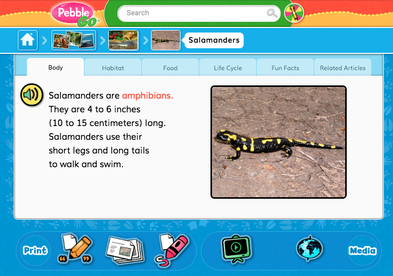 The Library Voice: Creating Lifelong Learners With Music, Stories ...