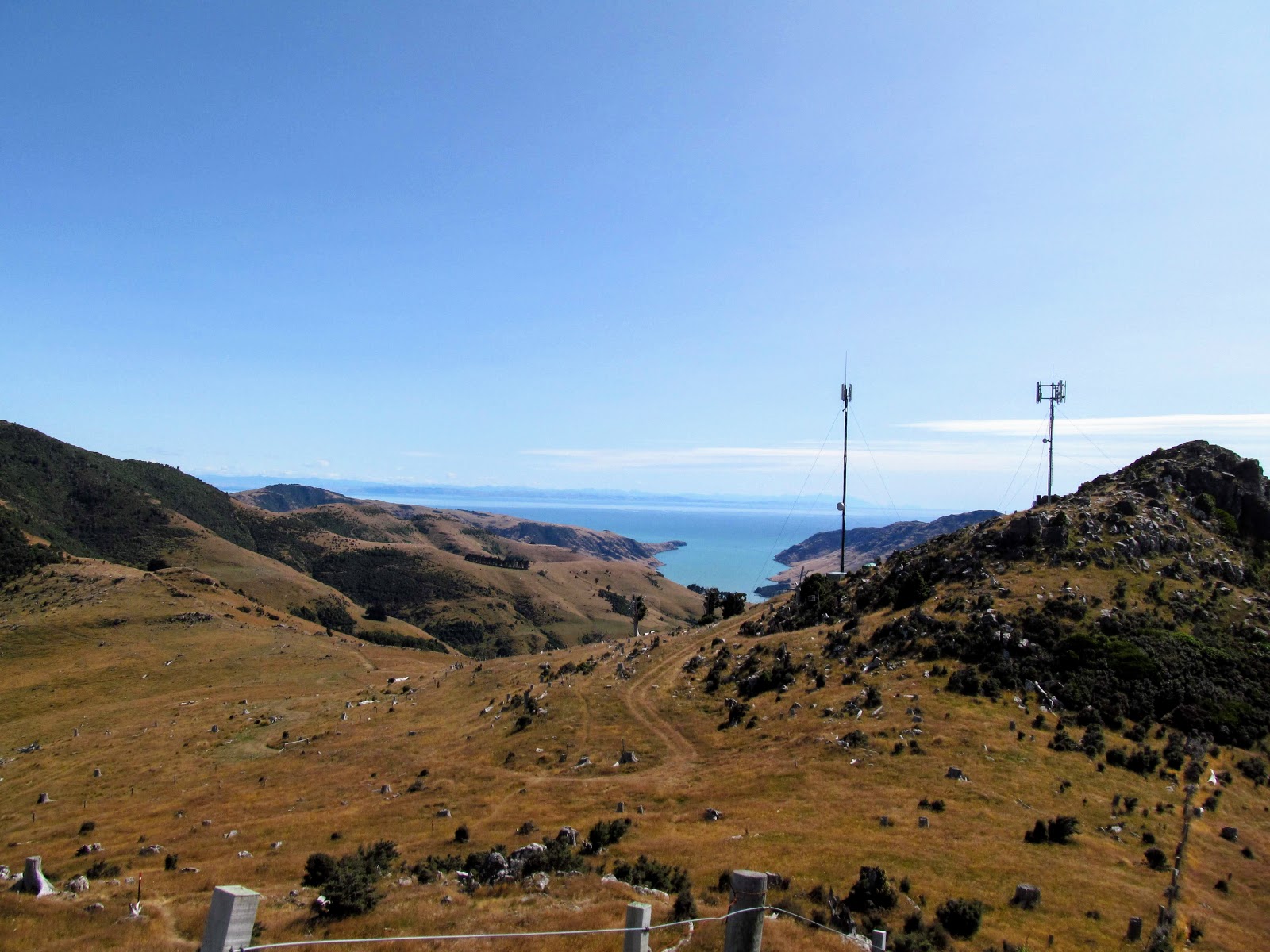 Tramping in the New Zealand backcountry: NZ Bush Adventures: An ...
