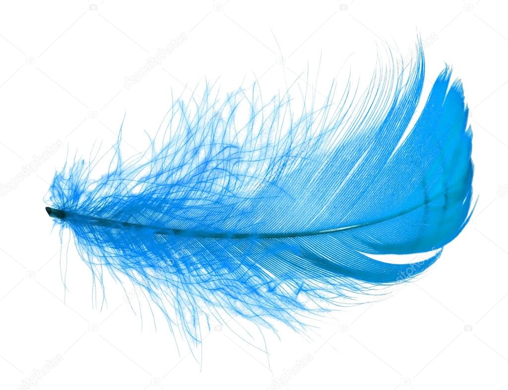 Cosa significa trovare una piuma