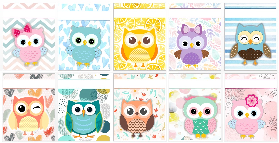 Apoyo para el maestro: PORTADAS DE BUHOS