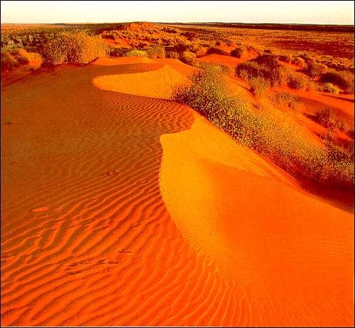 Redefining the Face Of Beauty : WORLD'S MOST BEAUTIFUL DESERTS!