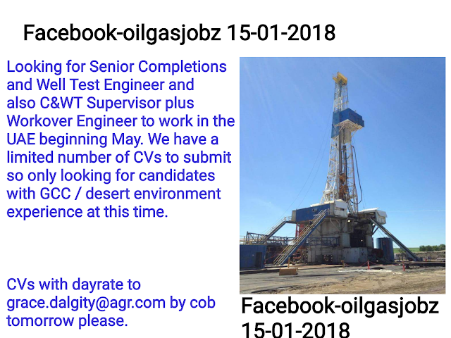 Looking for Senior Completions and Well Test Engineer, C&WT Supervisor ...