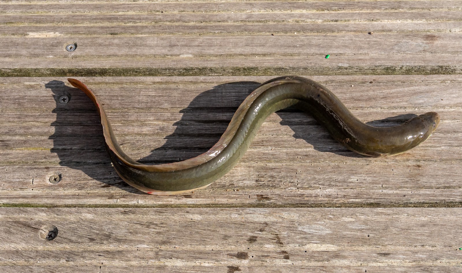 Starting life aboard: April 2019