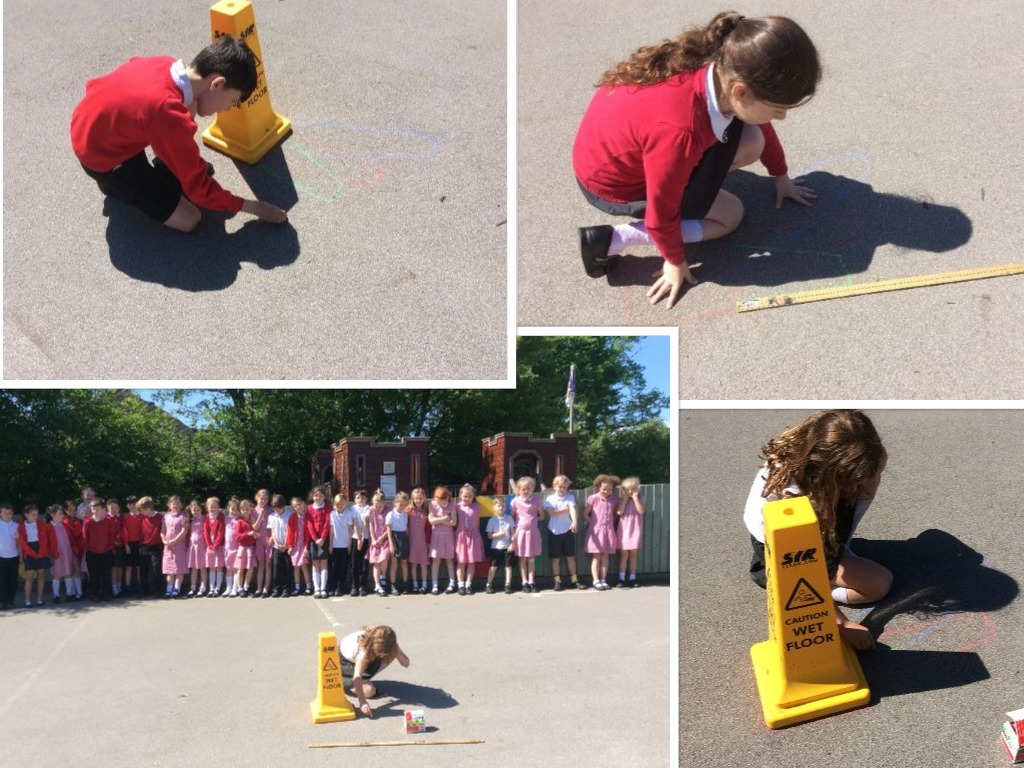 The Outstanding Oak Class Blog Shadows On A Sunny Day the-outstanding-oak-class-blog-shadows-on-a-sunny-day