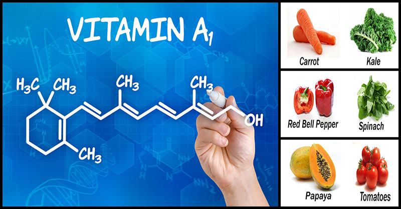 Vitamin A: A Powerful Antioxidant That Can Slow Down The Aging Process ...