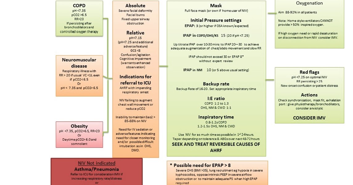 Respiratory Decade: 2016 BTS/ICS guideline for the ventilatory ...