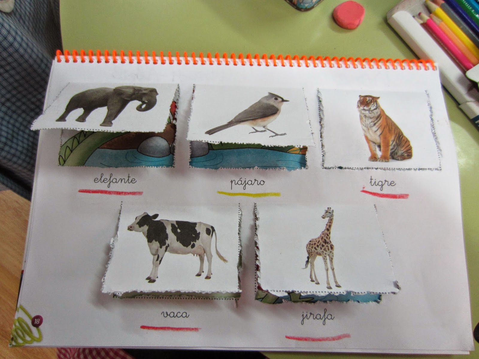 BLOG DE PATRI, educación infantil: ANIMALES HERBÍVOROS Y CARNÍVOROS