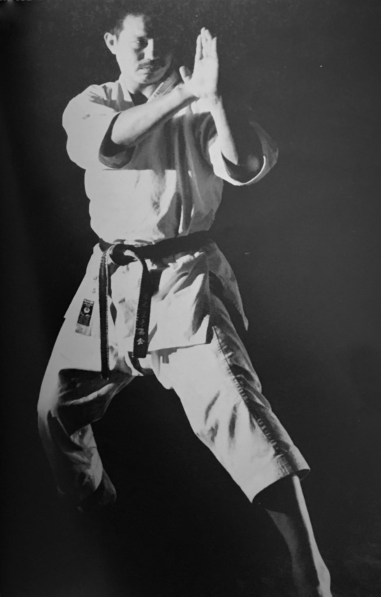 André Bertel's Karate-Do: 岩鶴 (Gankaku)