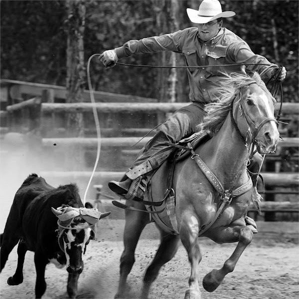 Rodeo Hermosillo: Historia sobre el Rodeo
