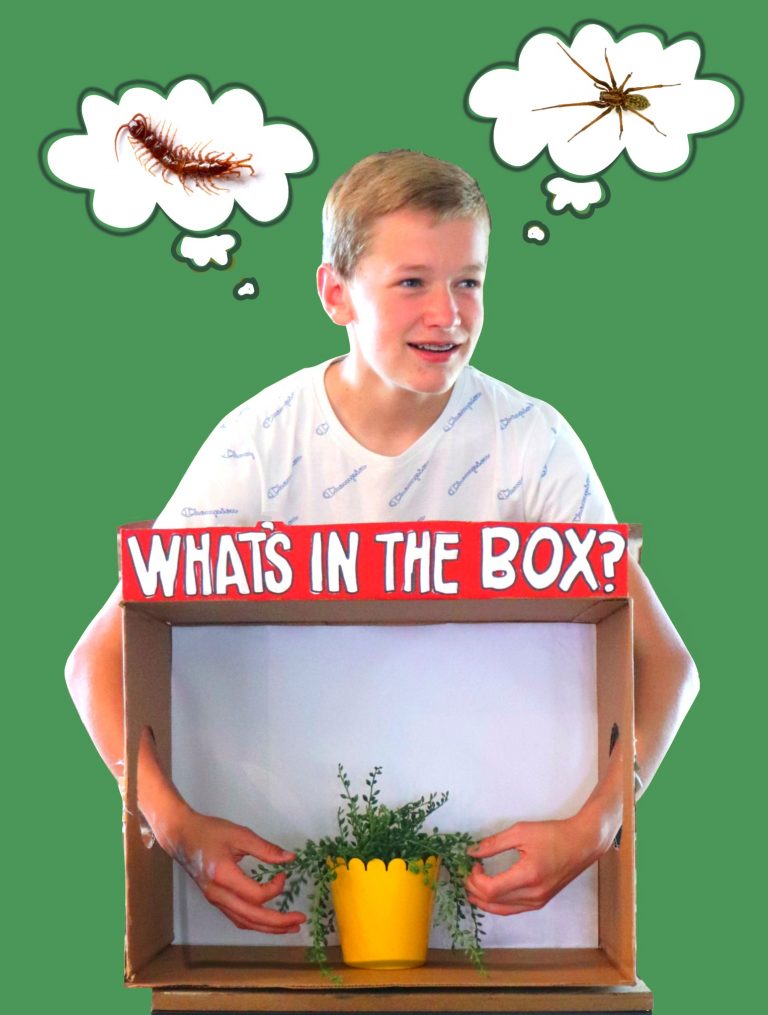 Party Games For Large Groups Party Games For Large Groups