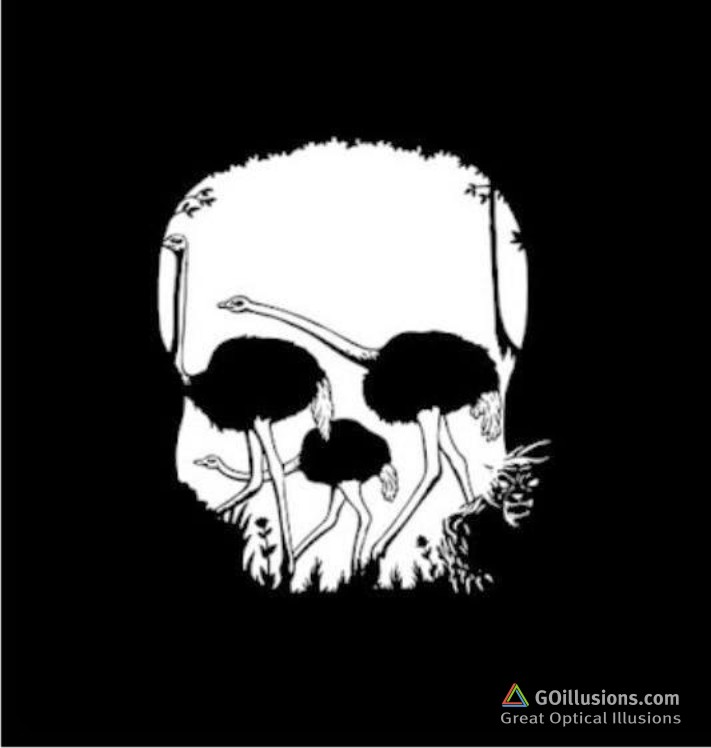 Optical Illusions Scary