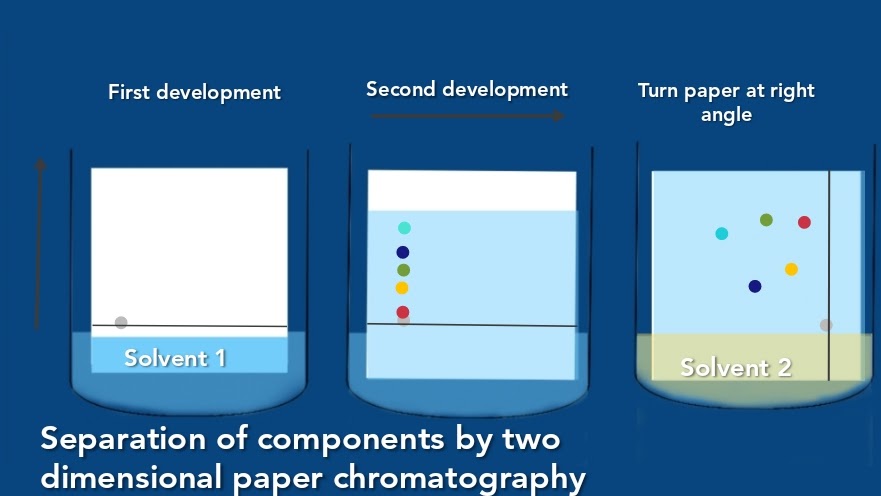 Separation techniques, chromatography its classification and paper ...