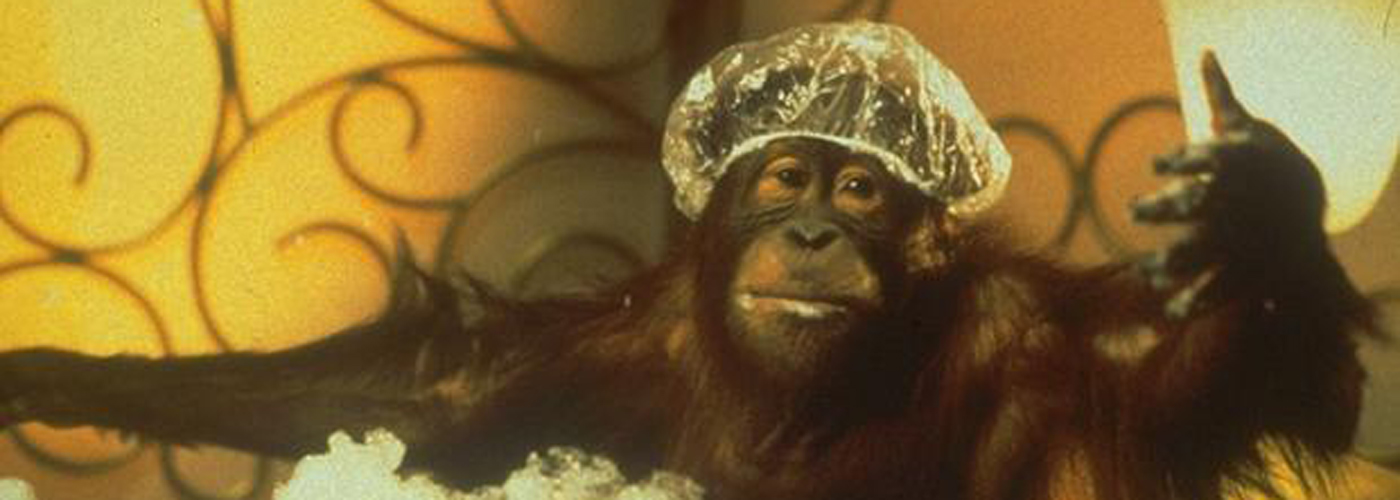 The Donger Needs Food: Top 10 Monkeys