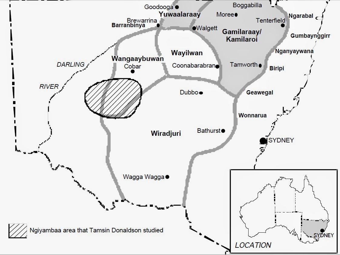 Coal Seam Gas in the Pillga