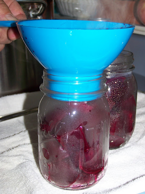 Pickled Beets