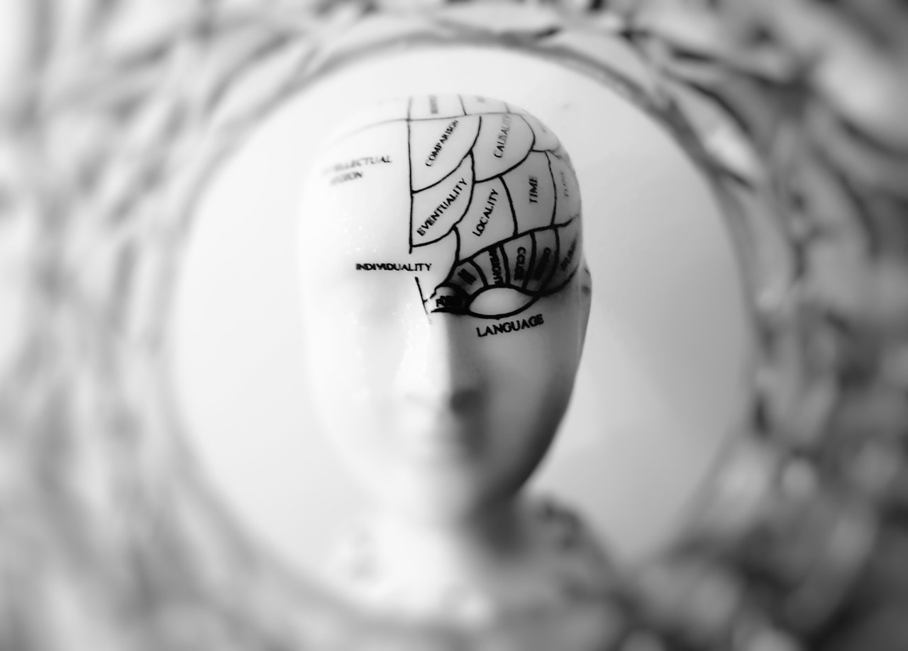 كيف يعمل العقل ملخص كتاب التفكير البطيئ و التفكير السريع Quizzle