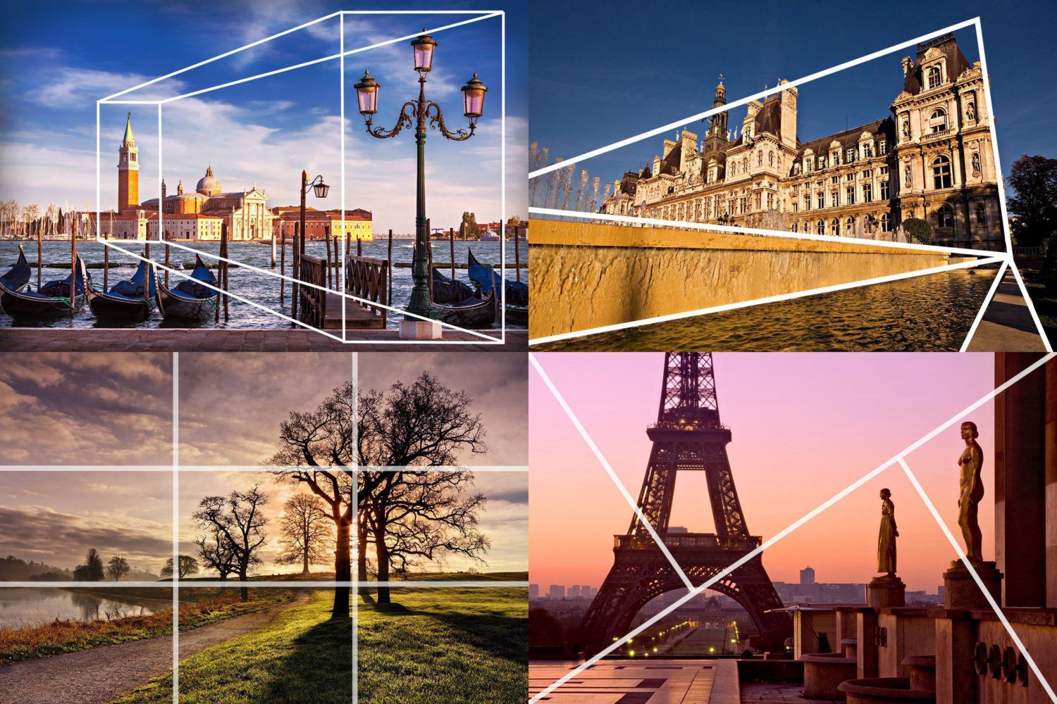 Photography Basics for Beginner Photographers