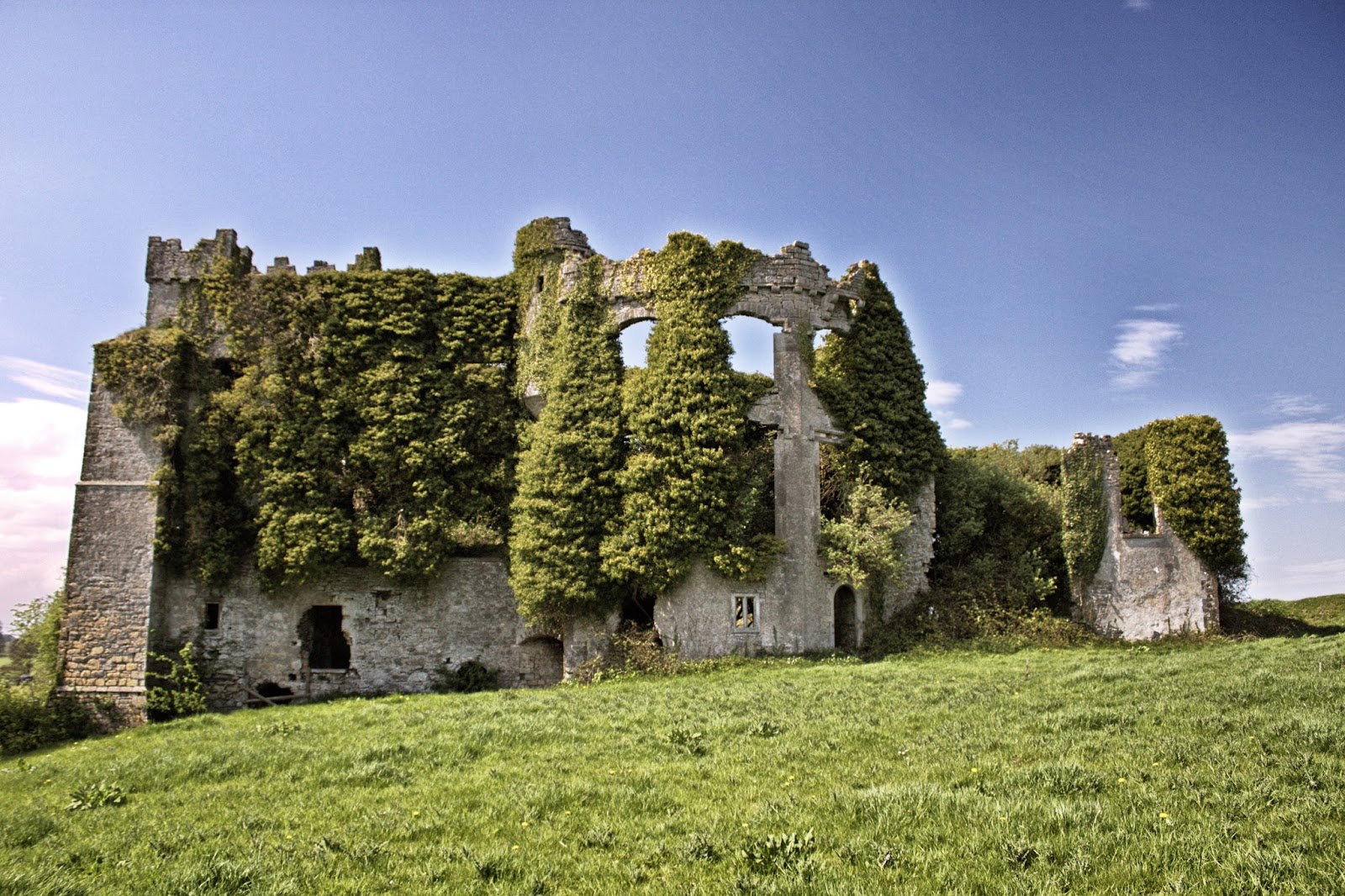 Lord Belmont in Northern Ireland: 1st Baron Trimlestown