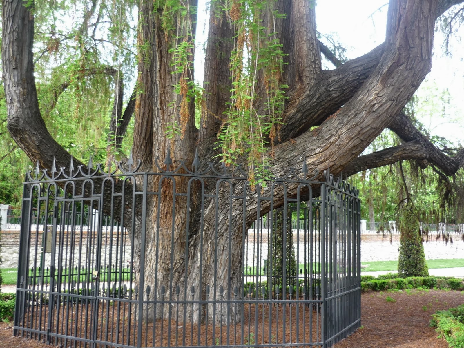 DEL CUPLÉ A LA REVISTA: MÉXICO MÁGICO .Guía oculta por Carmen Rosas