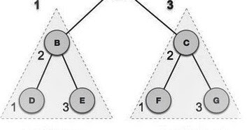 Binary Tree Traversal: Preorder, Inorder, Postorder - data structures ...