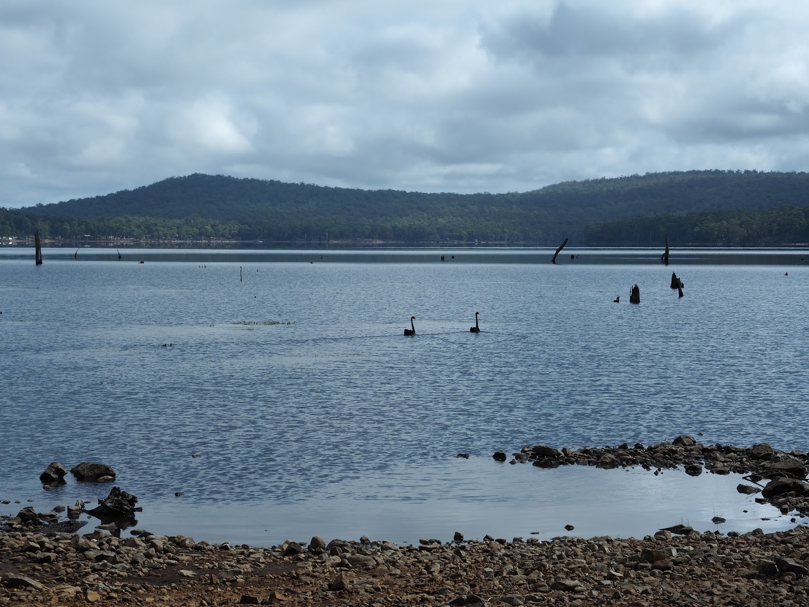 Tooms Lake | Hiking South East Tasmania