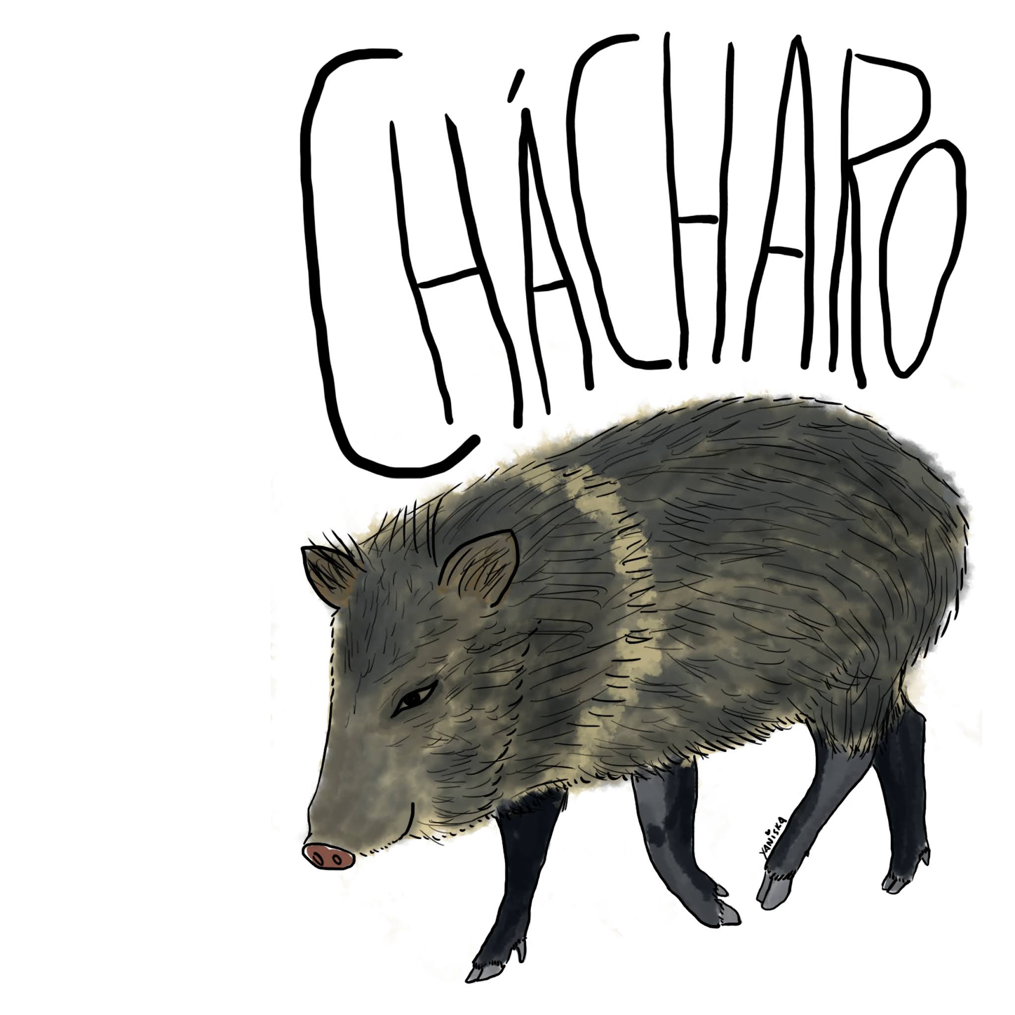 Yaniska ilustraciones