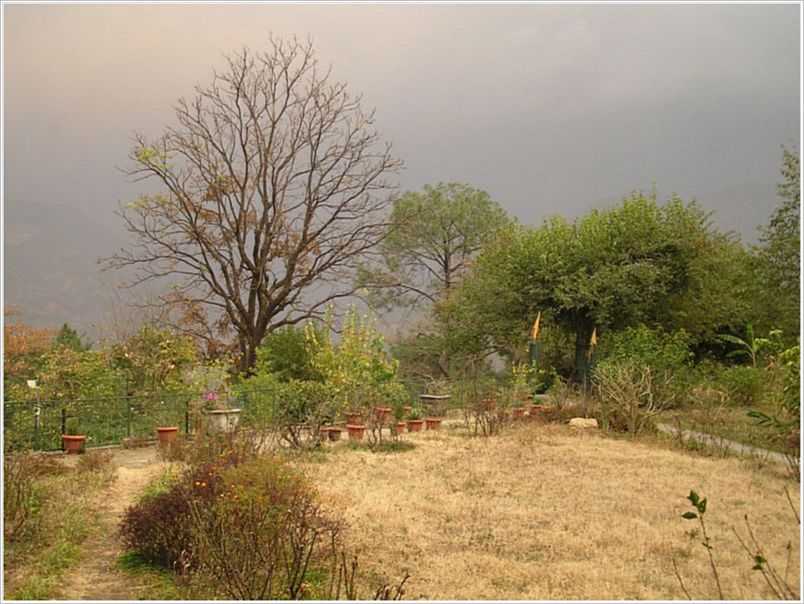 Kunsi Ashram Photo Album | Purusha at Maharishi Ashram - Kunsi ...